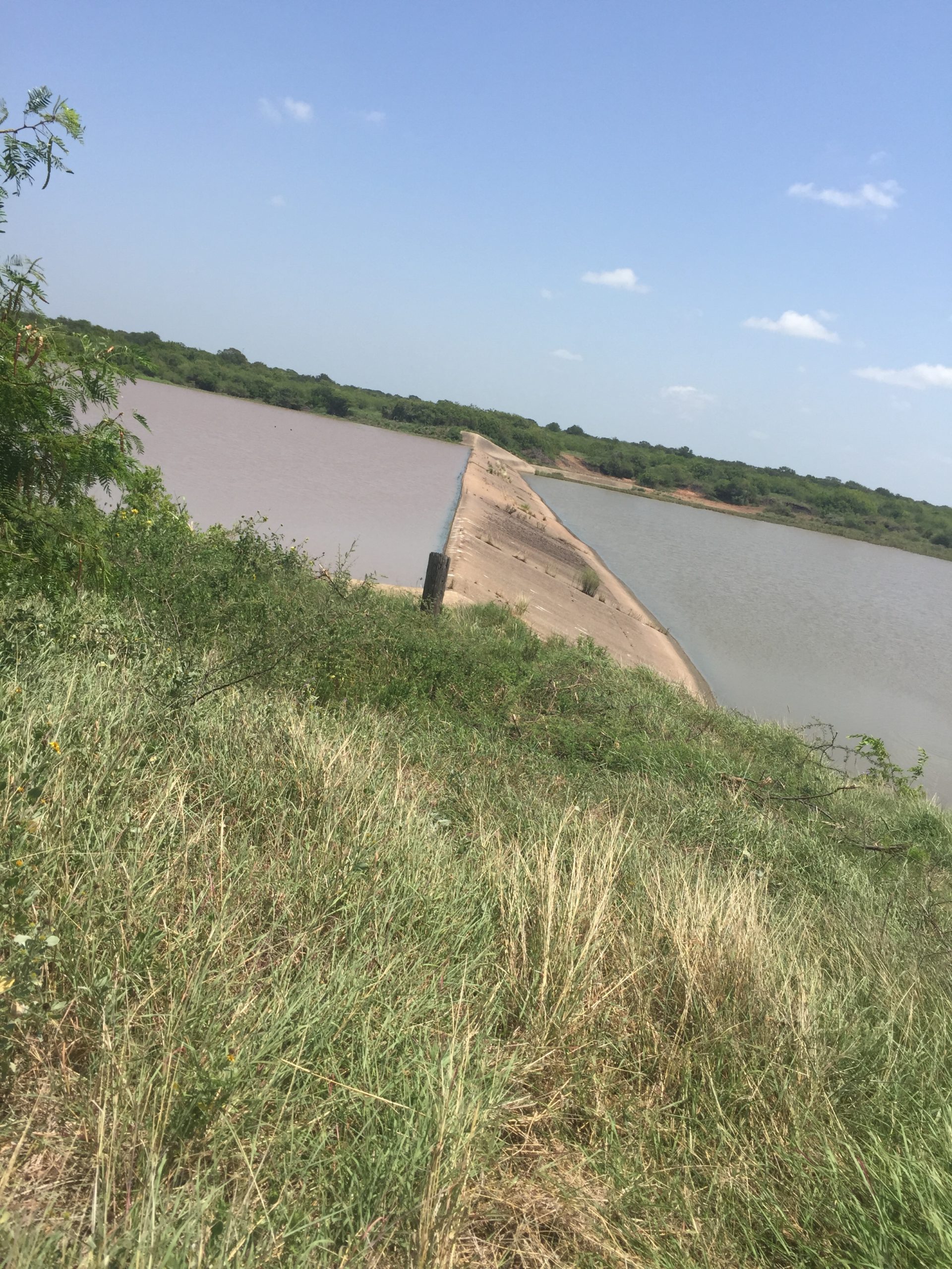 Water Monitoring: Nurdle Photos - San Antonio Bay Estuarine Waterkeeper